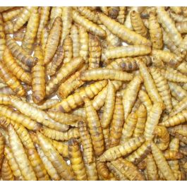 Camole del miele essiccate Qualità Premium 500gr. - Agripet Garden