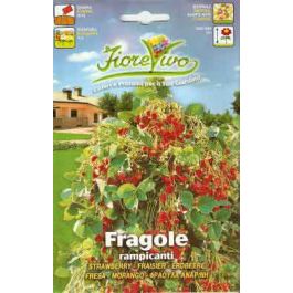 Semi Fragole Rampicanti - Agripet Garden