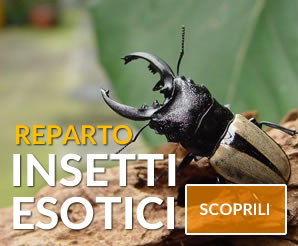 Agri Pet Garden | Vendita cibo vivo, rettili, insetti esotici